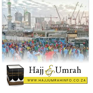260 buses daily transport 10,800 workers in Haram