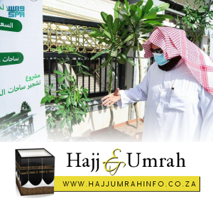 Tree planting initiative launched in areas surrounding Makkah’s Grand ...