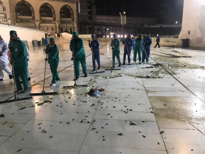 Experts to study sudden appearance of grasshoppers in Makkah mosque